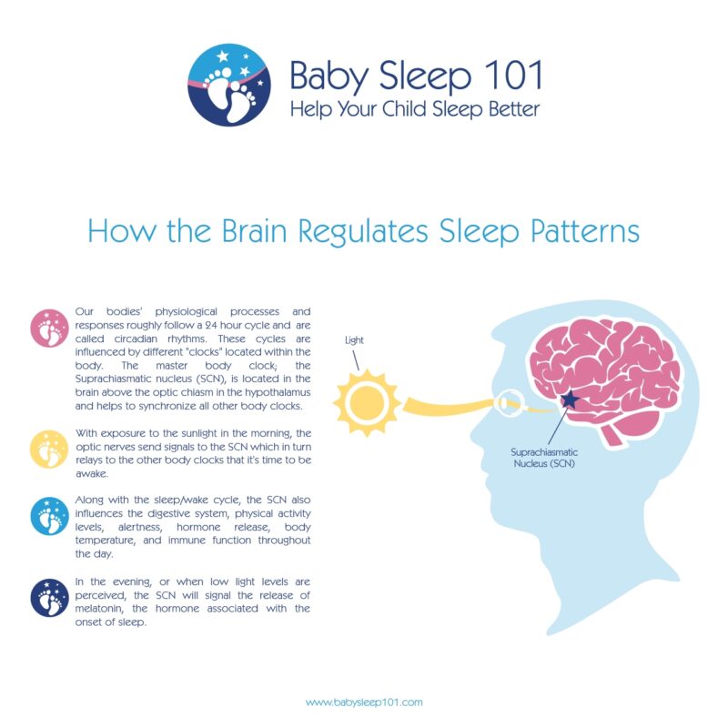 The Science of Sleep - BabySleep 101