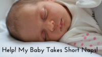 Baby Takes Short Naps